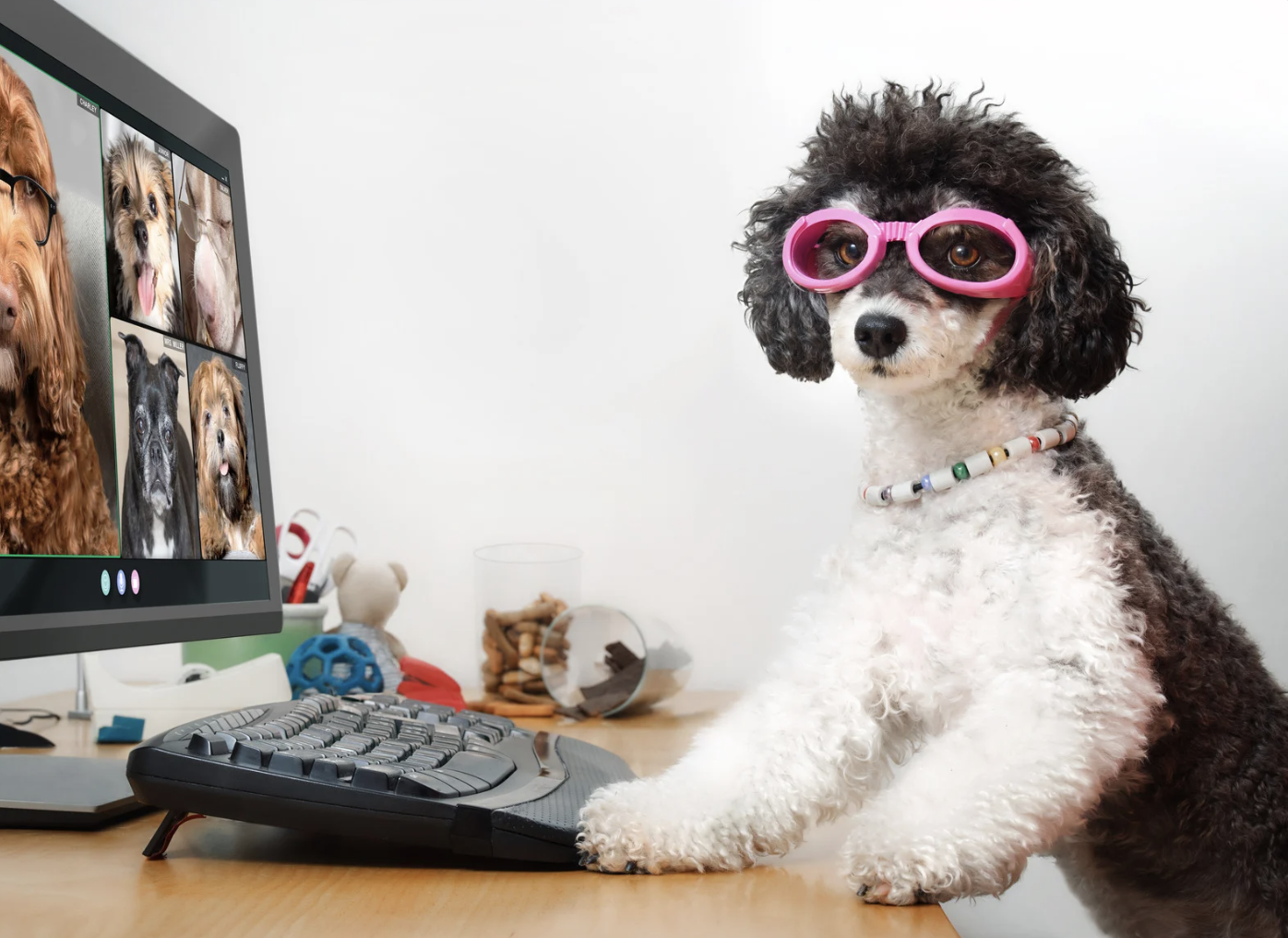 Interviewing for Editorial Talent is a Whole Different Animal - The ...